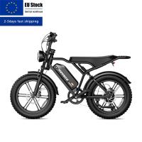 China Style Surron 250W 500W 750W 1000W Fat Tire Ebike Electric Bike Electric Dirt Bike with Battery for sale
