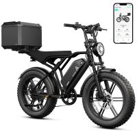 China 2026 EU Stock 48V 15AH Electric Bike 20 Inch 15Ah E Bike Vintage Off-Road E-bike 750~1200W, 55km~75km for sale