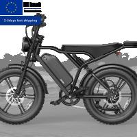 China 48V Bafang Lithium Electric Dirt Bike 1000W Steel Frame Fat Tire Adult for sale