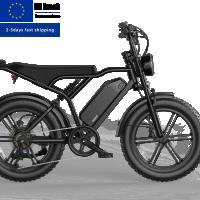 China 48V Bafang Lithium Electric Dirt Bike 1000W Steel Frame Fat Tire Adult for sale