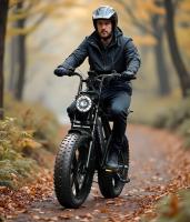 China 48V Bafang Lithium Electric Dirt Bike 1000W Steel Frame Fat Tire Adult for sale