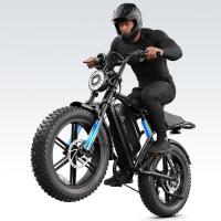 China 250W Electric Bicycle Disc Brake Dirt Bikes V20 Retro Sport Electronic Bicycle 250W for sale