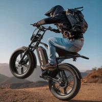 China 250W Electric Bicycle Disc Brake Dirt Bikes V20 V8 Retro Sport Electronic Bicycle for sale