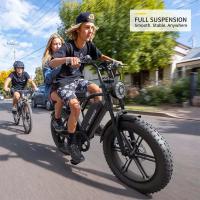China 250W Electric Bicycle Disc Brake Dirt Bikes V20 V8 Retro Sport Electronic Bicycle for sale