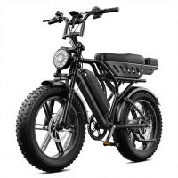 China R9 Dual Battery Electric  Bicycle 250W Long-Range Full Suspension Moped Style Electric Bike for sale