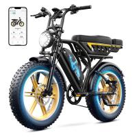 China R9 Dual Battery Electric  Bicycle 250W Long-Range Full Suspension Moped Style Electric Bike for sale