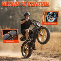 China R9 Dual Battery Electric  Bicycle 250W Long-Range Full Suspension Moped Style Electric Bike for sale