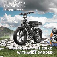China R9 Dual Battery Electric  Bicycle 250W Long-Range Full Suspension Moped Style Electric Bike for sale
