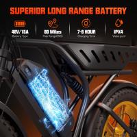 China R9 Dual Battery Electric  Bicycle 250W Long-Range Full Suspension Moped Style Electric Bike for sale