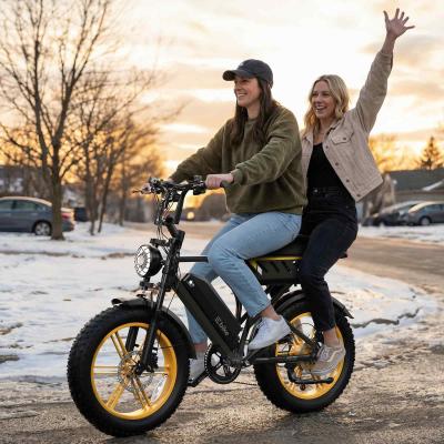 China R9 Dual-Battery 40AH Electric Bicycle 250W Long Range 7 Speed Electric Bike for Women for sale