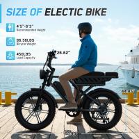 China R9 Dual-Battery 40AH Electric Bicycle 250W Long Range 7 Speed Electric Bike for Women for sale