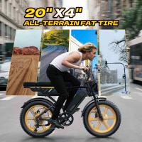 China R9 Dual-Battery 40AH Electric Bicycle 250W Long Range 7 Speed Electric Bike for Women for sale