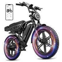 China R9 Dual-Battery 40AH Electric Bicycle 250W Long Range 7 Speed Electric Bike for Women for sale