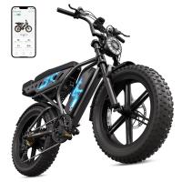 China EU Stock 48V Lithium Battery 7 Speed 15AH 25AH 40AH Electric Bike OEM Electric Bicycle for sale
