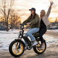 China EU Stock 48V Lithium Battery 7 Speed 15AH 25AH 40AH Electric Bike OEM Electric Bicycle for sale