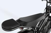 China Wholesale Electric Long Tail Cargo Bike R002 48V 20Inch Fat Tire Family Kids Pets Urban Transport Pedal Assist Dirt Bike for sale