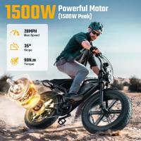 China Factory Price EU Warehouse Stock R002 48V 15AH Fat Tire Vintage Off-Road E-bike 20inch Electric Bike 750~1200W, 55km~75km for sale