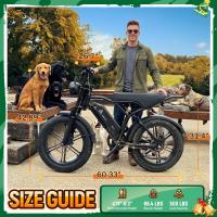 China R002 48V15A 20A Lithium OEM Electric Hybrid Cycle Customized Bicicleta Electrica 20