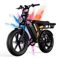 China Vintage OFF Road Ebike TST R002 20'' 250W Full Suspension Moped-style Electric Bike FAT Ebike 250W for sale