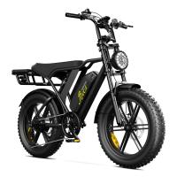 China Vintage OFF Road Ebike TST R002 20'' 250W Full Suspension Moped-style Electric Bike FAT Ebike 250W for sale