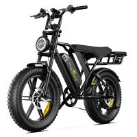 China Vintage OFF Road Ebike TST R002 20'' 250W Full Suspension Moped-style Electric Bike FAT Ebike 250W for sale