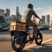 China Electric Fat Tire Bike in Eu Usa Warehouse 20 Inches K008 Fat Electric Bike Rear Rack Battery Fat Tire Ebike for sale