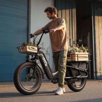 China Electric Fat Tire Bike in Eu Usa Warehouse 20 Inches K008 Fat Electric Bike Rear Rack Battery Fat Tire Ebike for sale