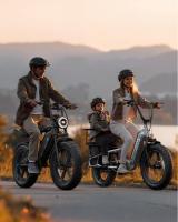 China Electric Fat Tire Bike in Eu Usa Warehouse 20 Inches K008 Fat Electric Bike Rear Rack Battery Fat Tire Ebike for sale