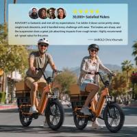China HOVSCO HovCart 20'' Step-Thru Lightweight Aluminum Frame  Cargo Bike - 1300W Motor, 80km Range, Fat Tire All-Terrain E-Bike for sale