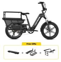 China HOVSCO HovCart 20'' Step-Thru Lightweight Aluminum Frame  Cargo Bike - 1300W Motor, 80km Range, Fat Tire All-Terrain E-Bike for sale