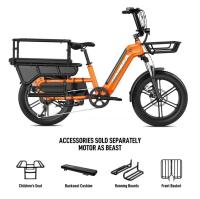 China HOVSCO HovCart 20'' Step-Thru Lightweight Aluminum Frame  Cargo Bike - 1300W Motor, 80km Range, Fat Tire All-Terrain E-Bike for sale