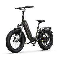 China Folding Electric Bicycle F008 500W Brushless Motor 48V Removable Lithium Battery Bike for sale