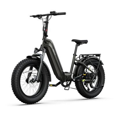 China Folding Electric Bicycle F008 500W Brushless Motor 48V Removable Lithium Battery Bike for sale