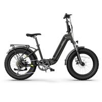 China Folding Electric Bicycle F008 500W Brushless Motor 48V Removable Lithium Battery Bike for sale