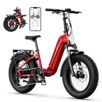 China Fatbike F008 20 Wheel Size Electric Folding Bike 1200W Steel Frame Folding Electric Bike 45km/h Folding Mini Size Hybrid E-bike for sale