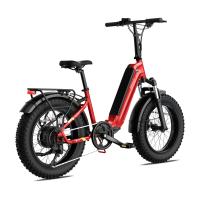 China Fatbike F008 20 Wheel Size Electric Folding Bike 1200W Steel Frame Folding Electric Bike 45km/h Folding Mini Size Hybrid E-bike for sale