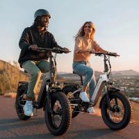 China F008 Yeestep Electric Folding Bike 48V 750W 20x4.0 Fat Tire E-bike Lockable Suspension  Urban Foldable Bicycle for sale