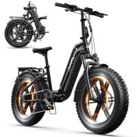 China 2026 EU Stock F008 Fat Tire Electric Bicycle 48V 20