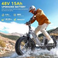 China 2026 EU Stock F008 Fat Tire Electric Bicycle 48V 20