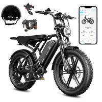 China R002 EU Stock 48V 15A Battery Off-Road Bicycle 20