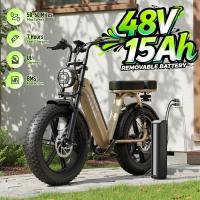 China DDP TST Adult Electric Bike 250W Brushless 48V 15Ah Lithium Battery 60 Miles Range 20