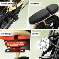 China DDP TST Adult Electric Bike 250W Brushless 48V 15Ah Lithium Battery 60 Miles Range 20