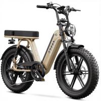 China DDP TST Adult Electric Bike 250W Brushless 48V 15Ah Lithium Battery 60 Miles Range 20