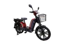 China Steel Frame 48v 350w Adult Electric Bike 9 Mos Tube Controller for sale
