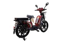 China Steel Frame 48v 350w Adult Electric Bike 9 Mos Tube Controller for sale