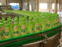 China ​Frequency Conversion Control Carbonated Soft Drink Filling Machine for sale