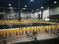 China 500ml Bottle  Fruit Juice Ultra Clean Filling Machine for sale