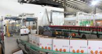 China Imported AROL Capping SS316 Fruit Juice Aseptic Filling Machine for sale