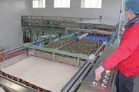 China Pulp Beverage 330ml Energy Drink Filling Machine for sale