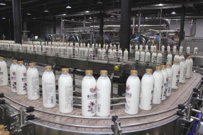 China Automatic Milk Beverage Bottle Filling Machine 12000-48000 BPH 500ml for sale